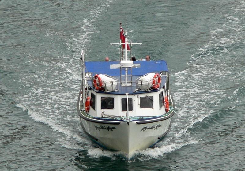 RAMBLIN ROSE - Vesseljoin