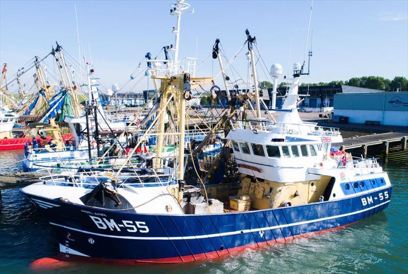 MFV ANGEL EMIEL - Vesseljoin