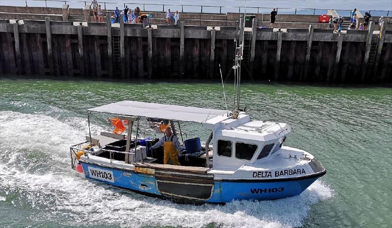 DELTA BARBARA - Vesseljoin