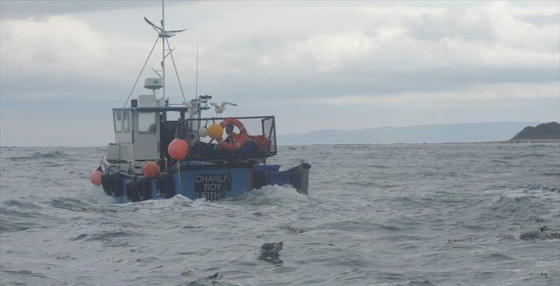 TRITON IV - Vesseljoin