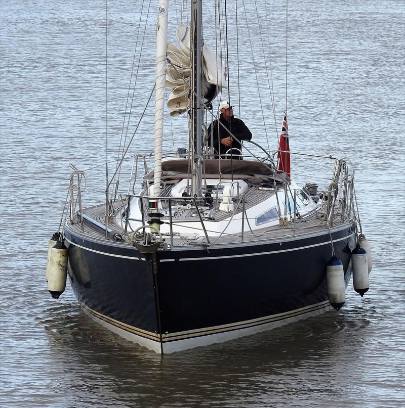 BLUE MANGO - Vesseljoin