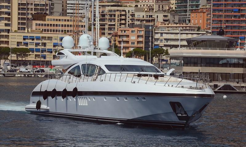 AFRICAN CAT - Vesseljoin