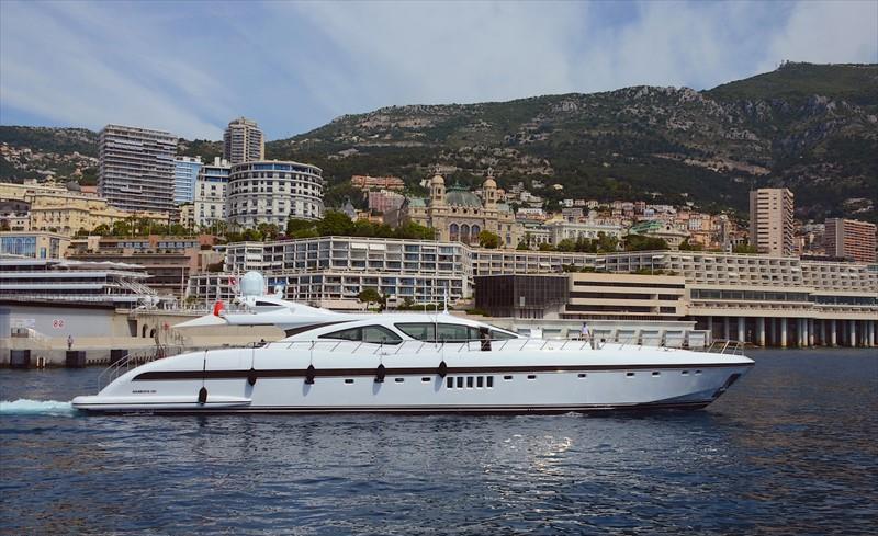 AFRICAN CAT - Vesseljoin