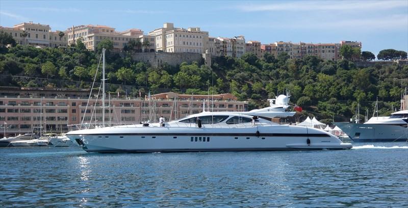 AFRICAN CAT - Vesseljoin