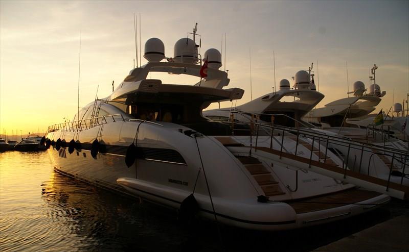 AFRICAN CAT - Vesseljoin