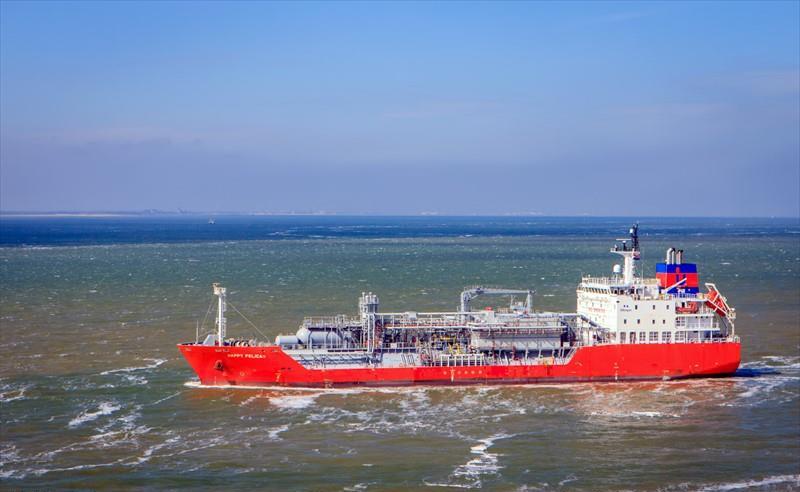 HAPPY PELICAN - Vesseljoin