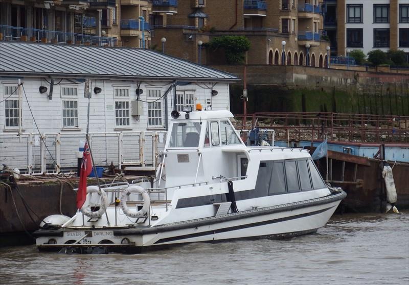 SILVER DARLING - Vesseljoin