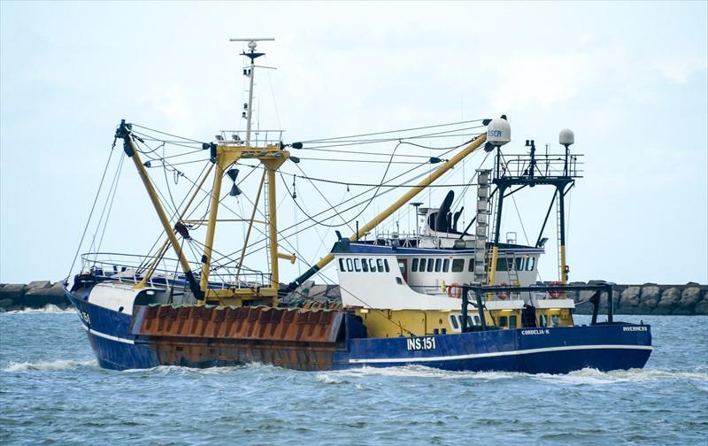 CORDELIA K - Vesseljoin