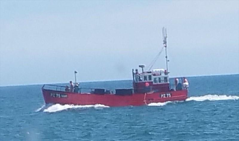 WILLIAM HARVEY - Vesseljoin