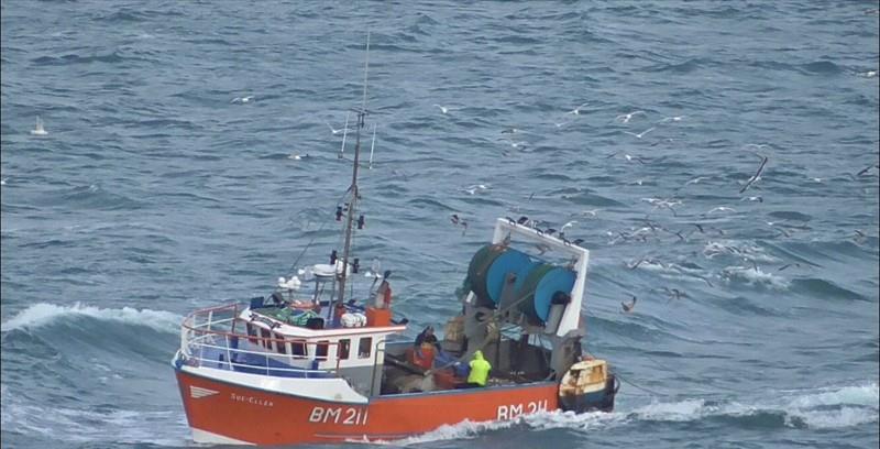 MFV SUE ELLEN - Vesseljoin