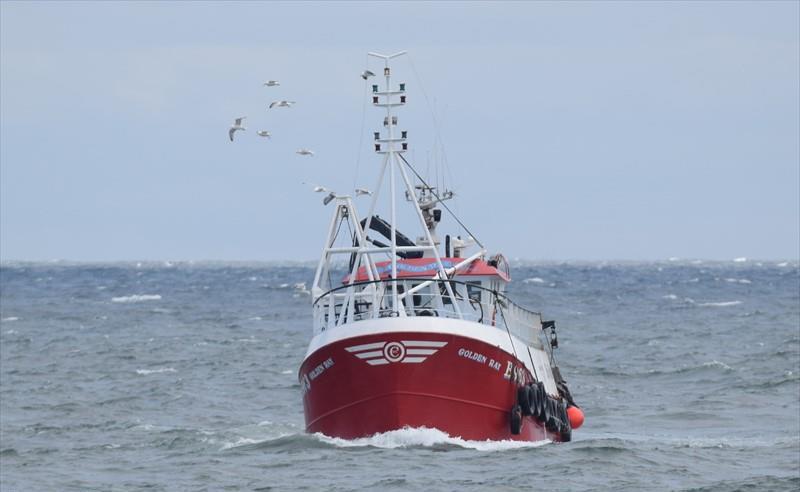 GOLDEN RAY - Vesseljoin