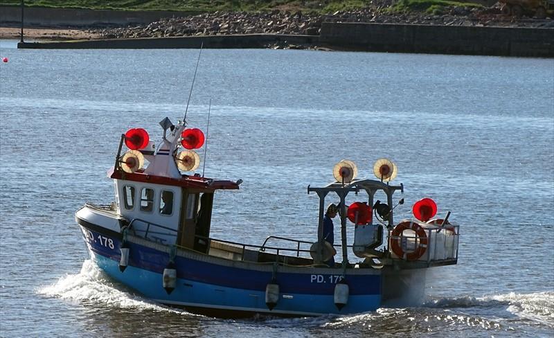 TWO BOYS - Vesseljoin