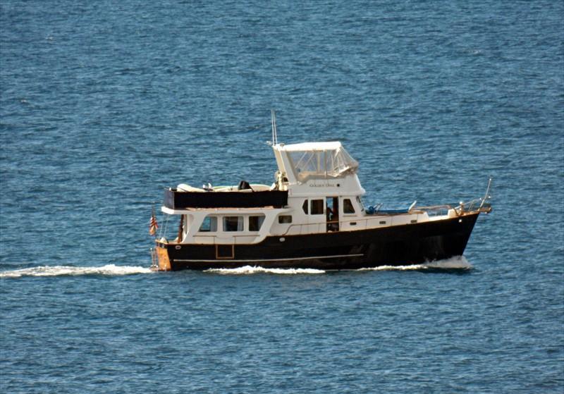 GOLDEN OPAL - Vesseljoin