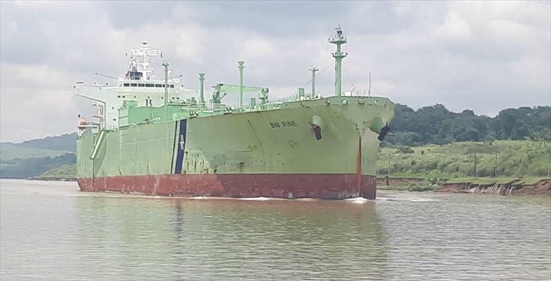 BW PINE - Vesseljoin