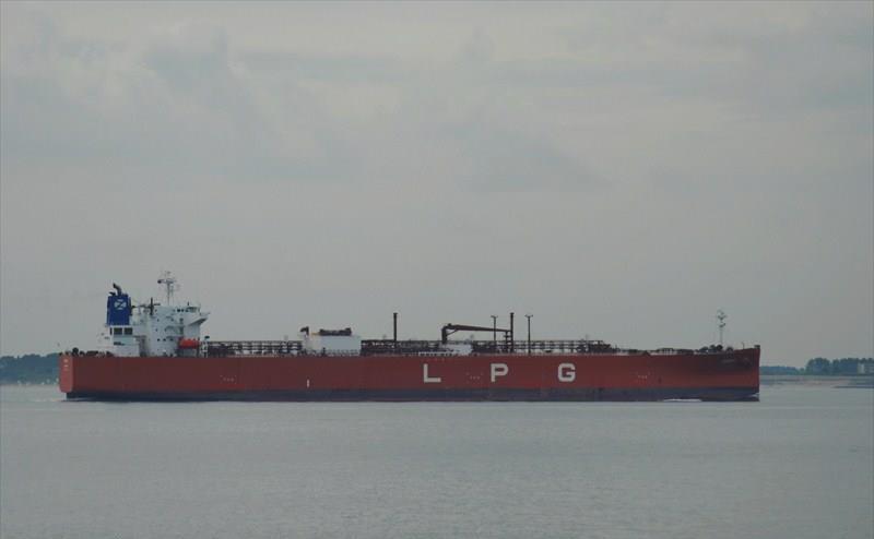 BW PINE - Vesseljoin