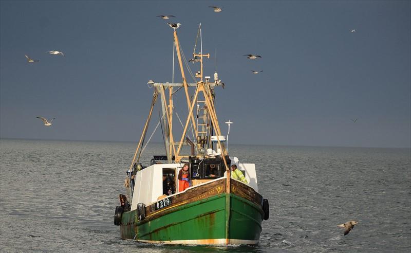 ROSEMARY ANN - Vesseljoin