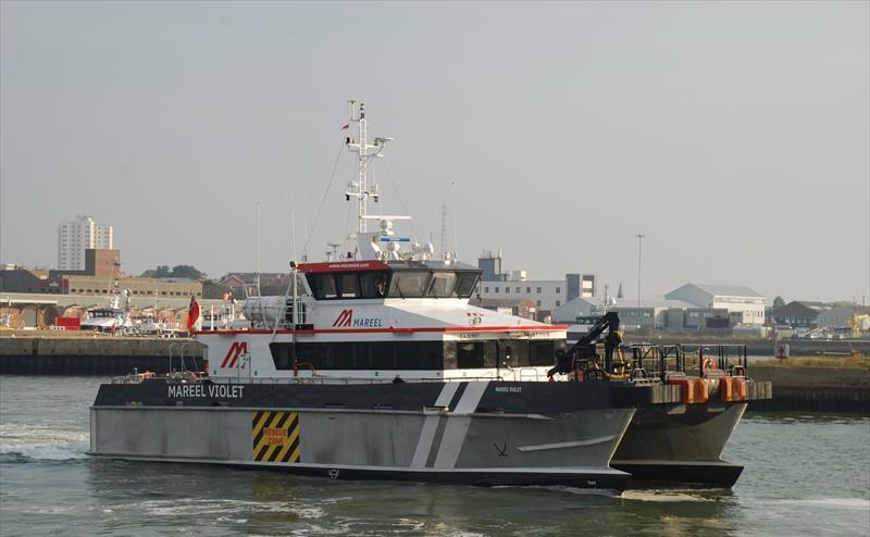 MAREEL VIOLET - Vesseljoin