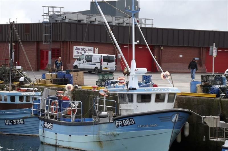 CHLOE MAY - Vesseljoin