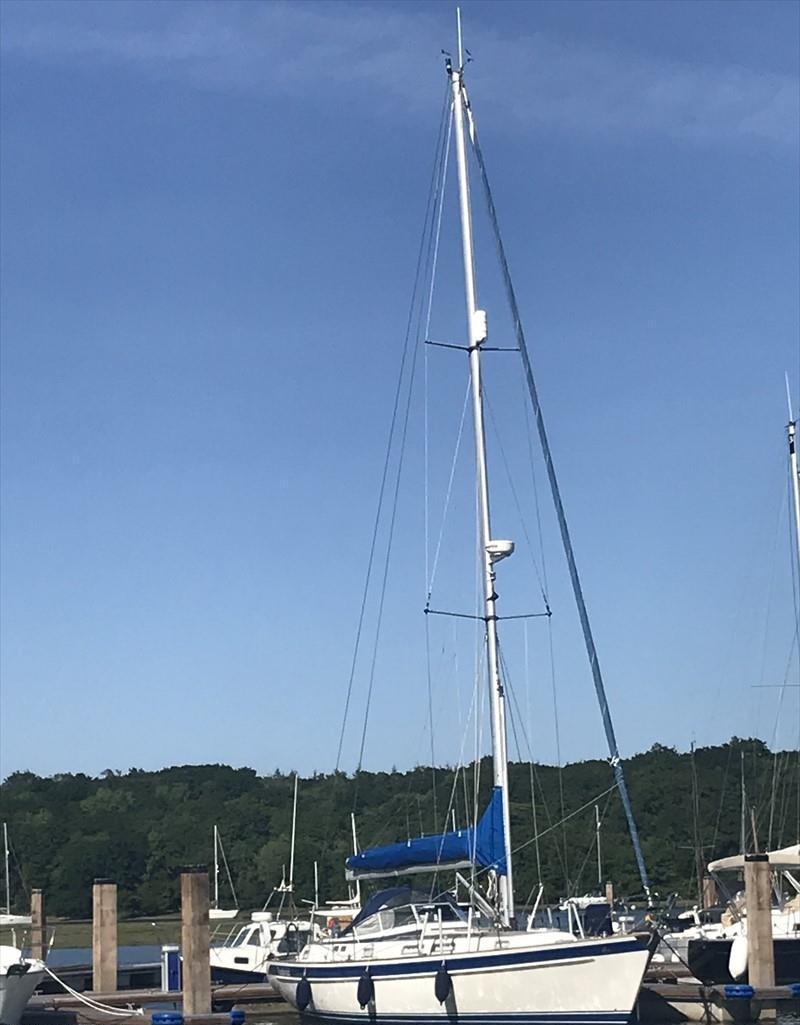 SUNSET SONG OF ALBA - Vesseljoin