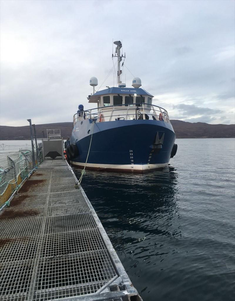 SALLY ANN - Vesseljoin