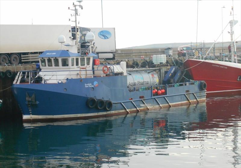 SALLY ANN - Vesseljoin