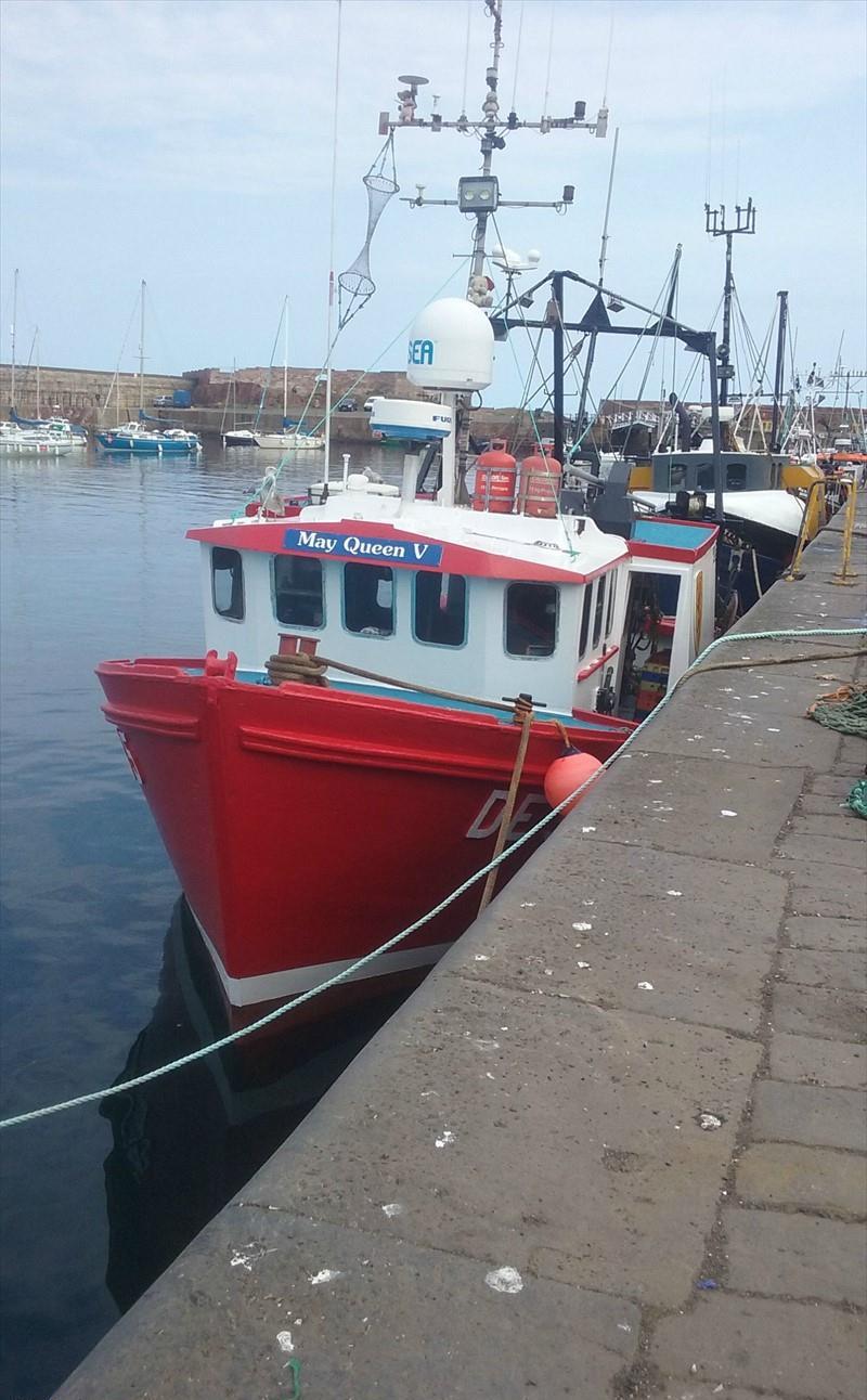 MAY QUEEN - Vesseljoin