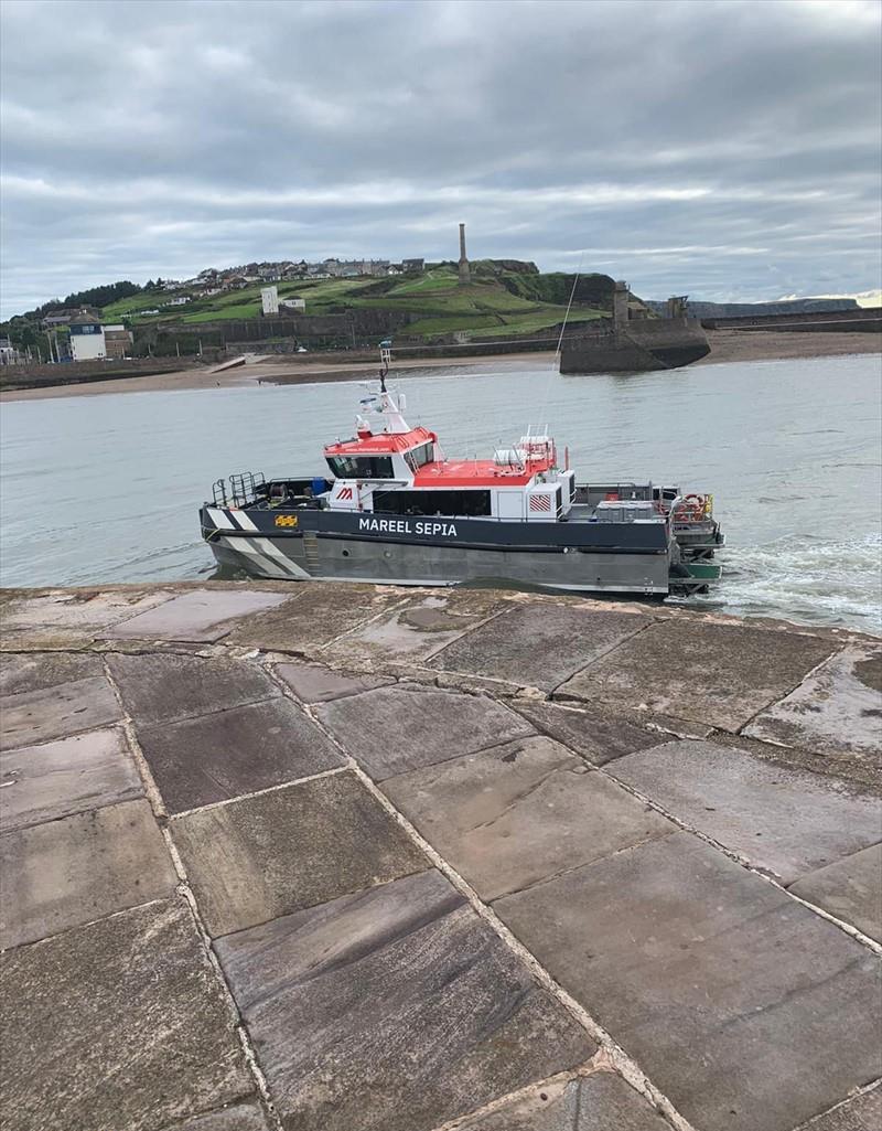 MAREEL SEPIA - Vesseljoin