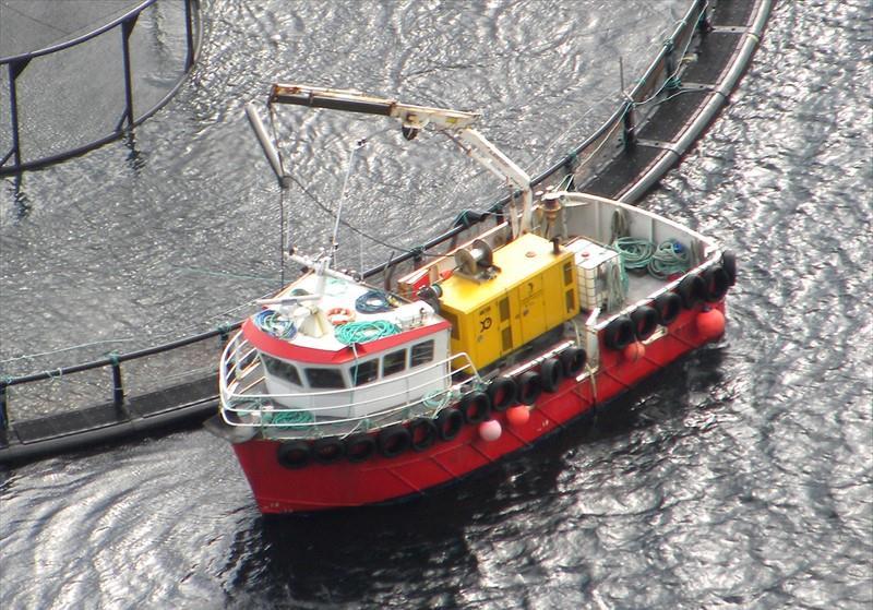 GRACIE AVA - Vesseljoin