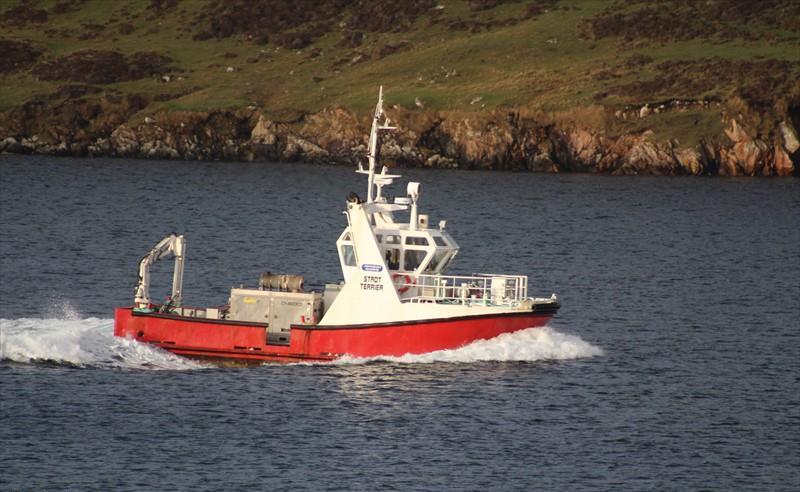 TB STADT TERRIER - Vesseljoin