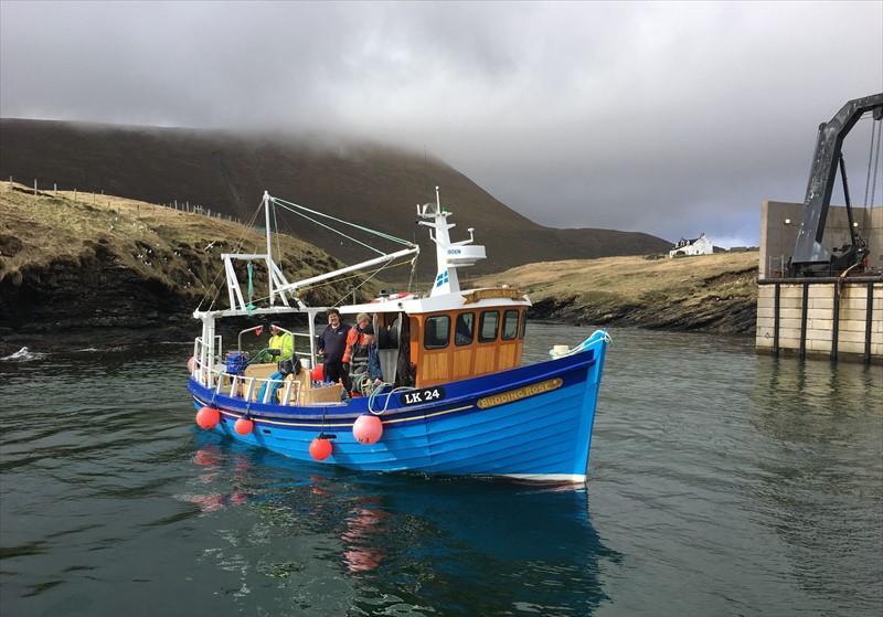 BUDDING ROSE - Vesseljoin