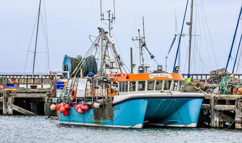 WENDY PATRICIA - Vesseljoin