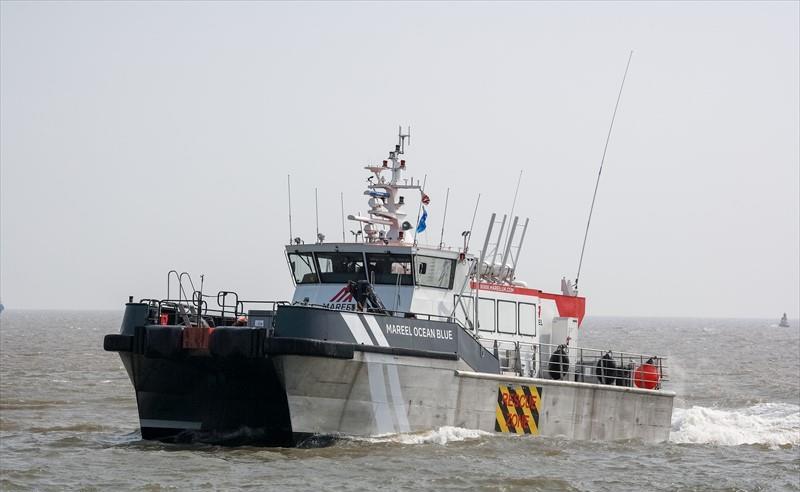 MAREEL OCEAN BLUE - Vesseljoin