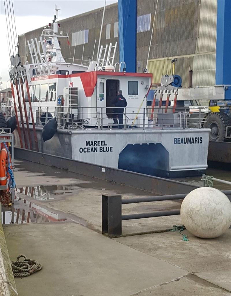 MAREEL OCEAN BLUE - Vesseljoin