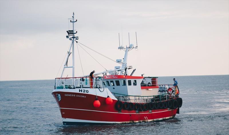 GENESIS ENIGMA - Vesseljoin