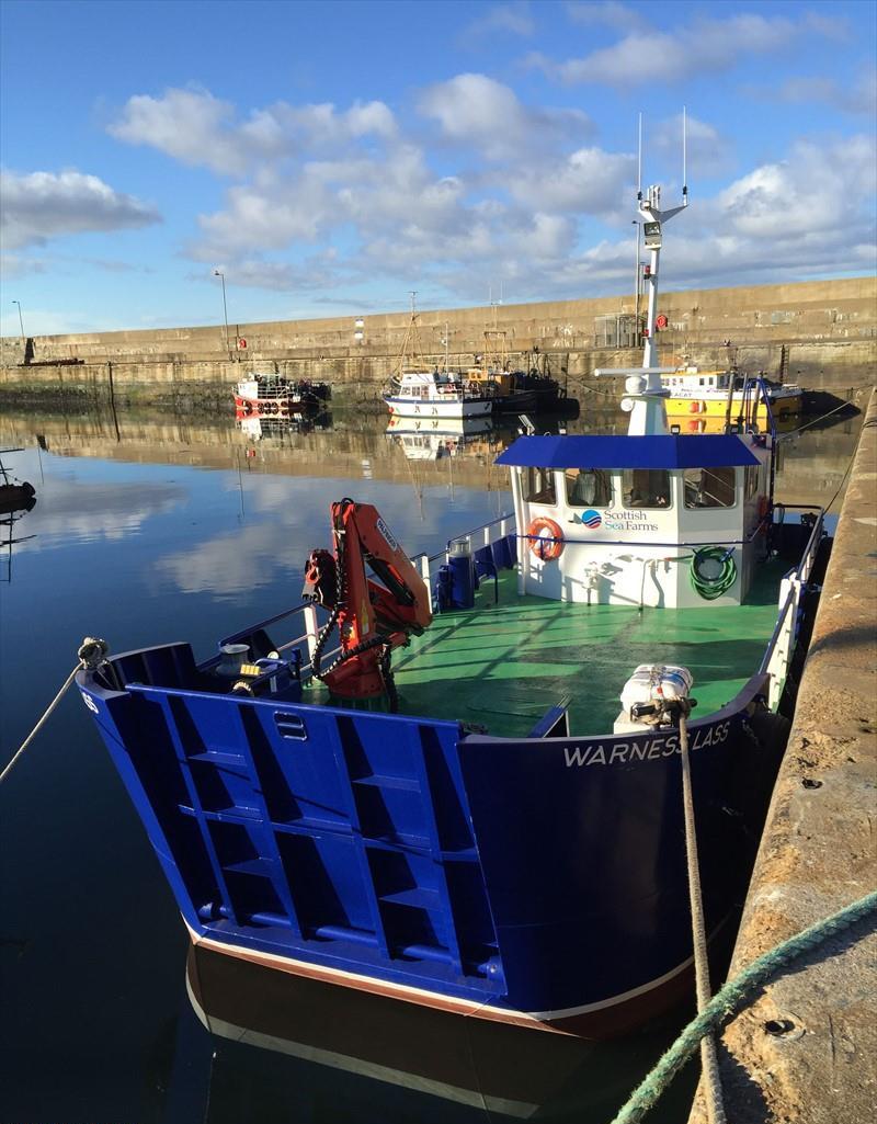 WARNESS LASS - Vesseljoin