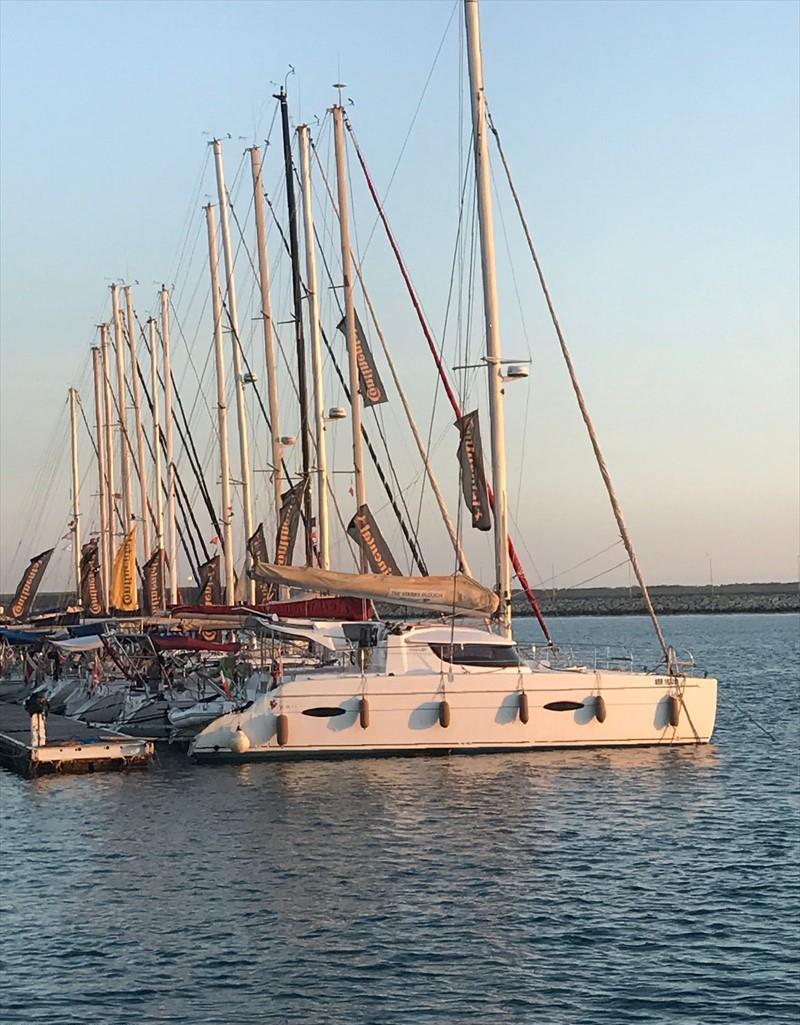 THE STARRY PLOUGH - Vesseljoin