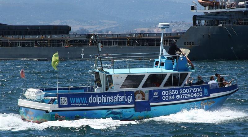 GOLDFIN - Vesseljoin