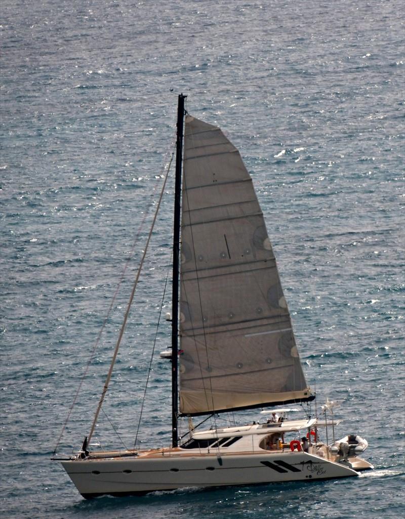 ALLEY CAT - Vesseljoin