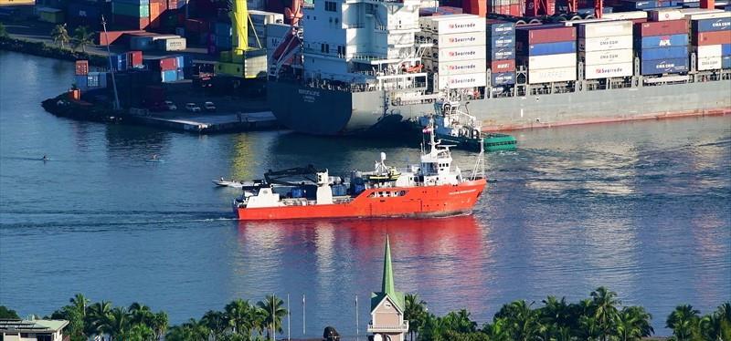 SILVER SUPPORTER - Vesseljoin