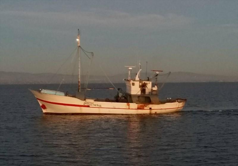 DIMITRIS AGELOS - Vesseljoin