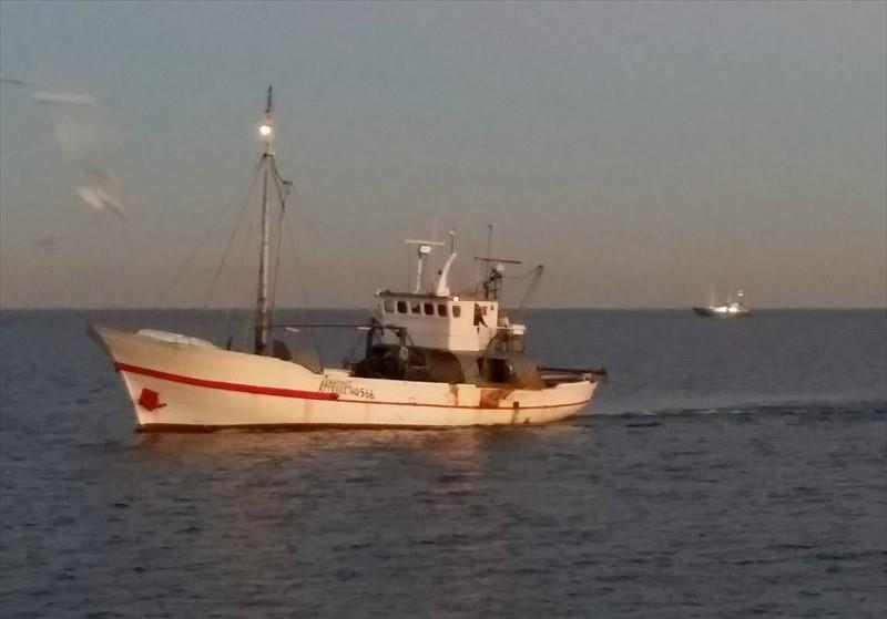 DIMITRIS AGELOS - Vesseljoin