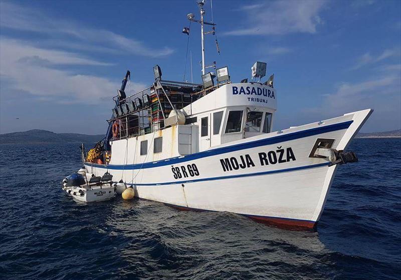 MOJA ROZA - Vesseljoin