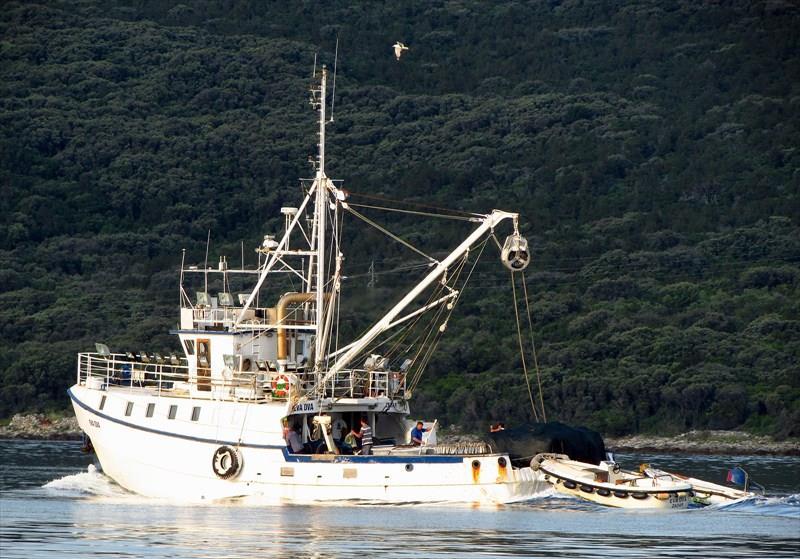 EVA DVA - Vesseljoin