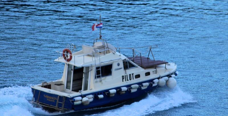 11 DB PILOT BOAT - Vesseljoin