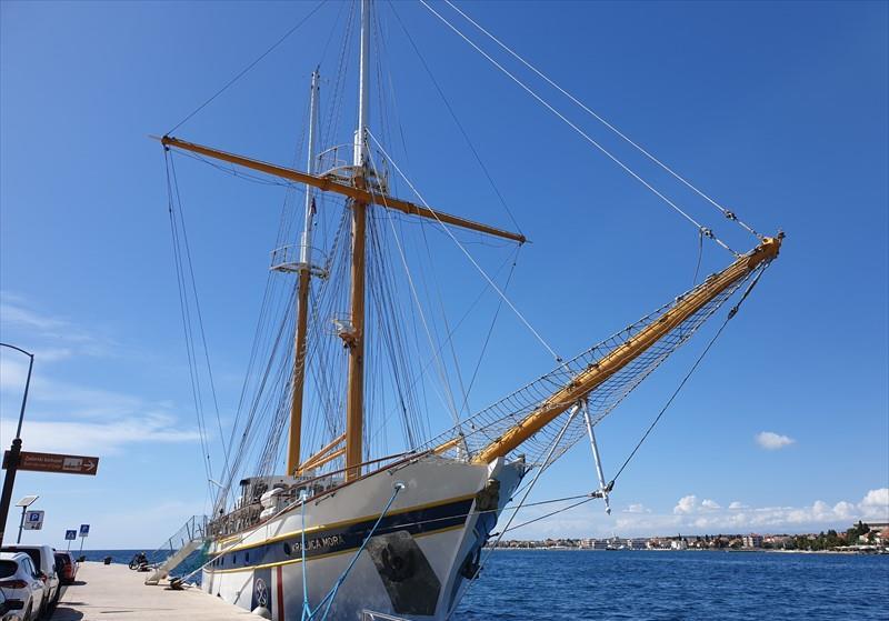 KRALJICA MORA - Vesseljoin