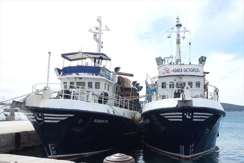 ELIZABETA TRI - Vesseljoin