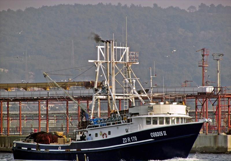 CORDIS II - Vesseljoin