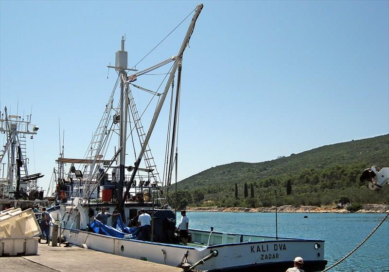 KALI DVA - Vesseljoin