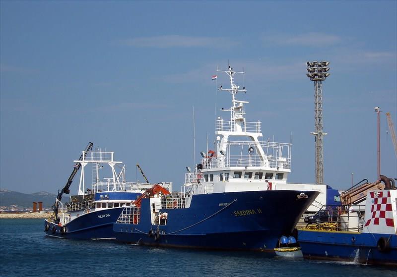 SARDINA II - Vesseljoin