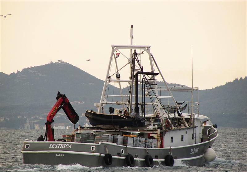 PELAGOS IV - Vesseljoin